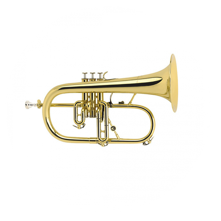 Blaasinstrumenten – Kunstacademie